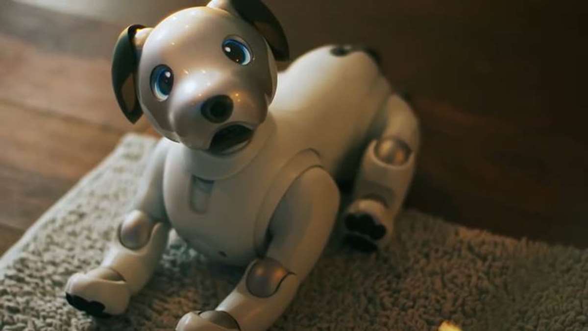 El perro-robot Aibo es la mascota del futuro