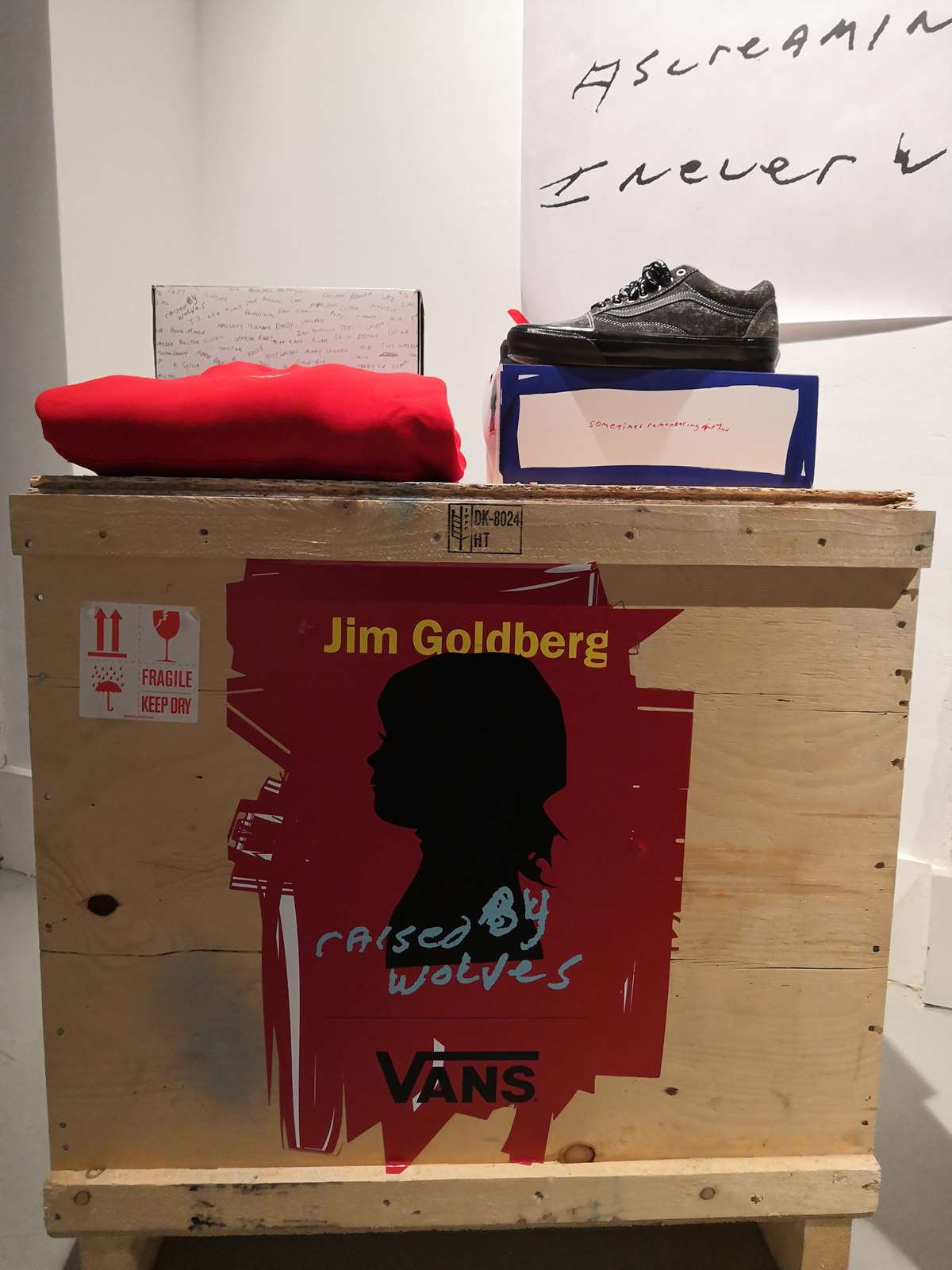 VANS presenta su colección con Jim Goldberg