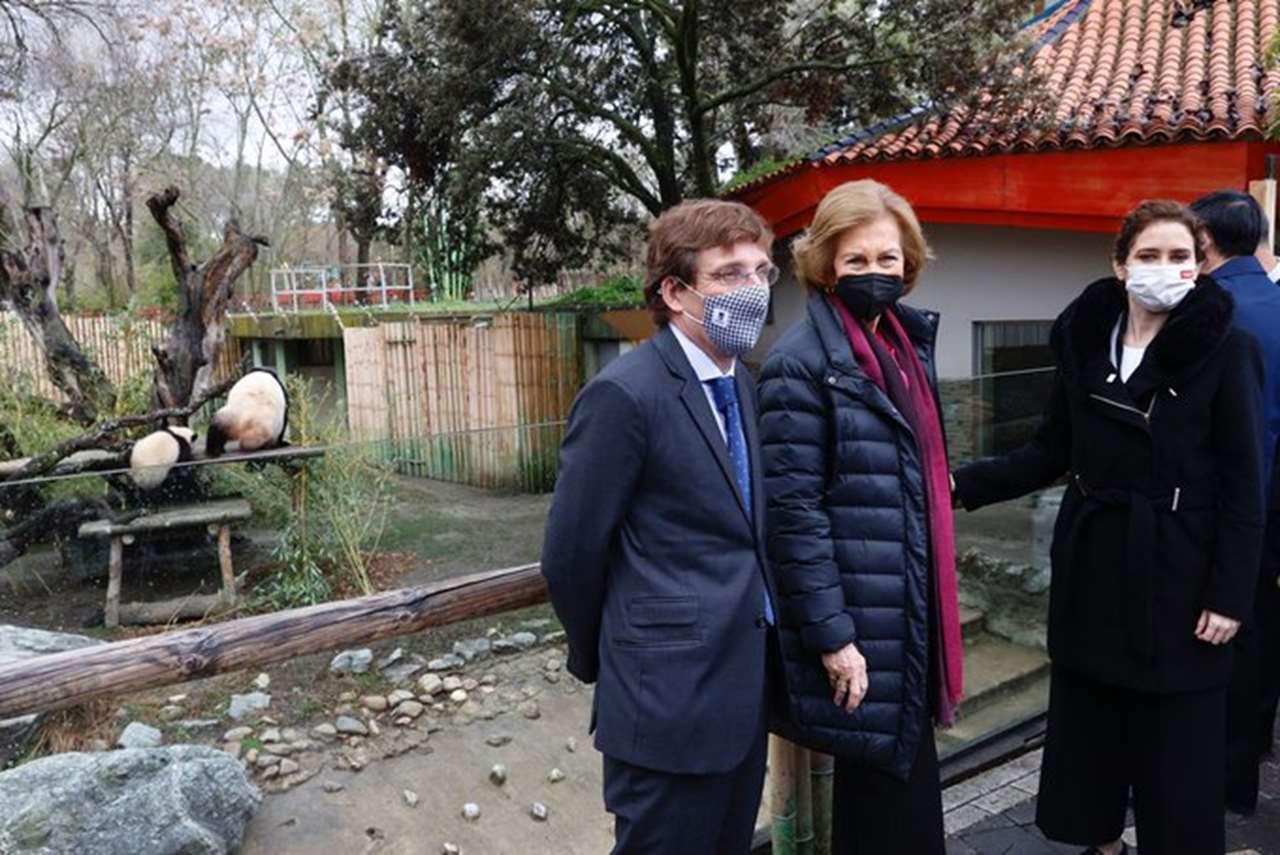 La reina Sofía visita a los nuevos pandas del Zoo de Madrid